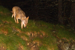 Aktuelles beim Amt für Jagd und Fischerei